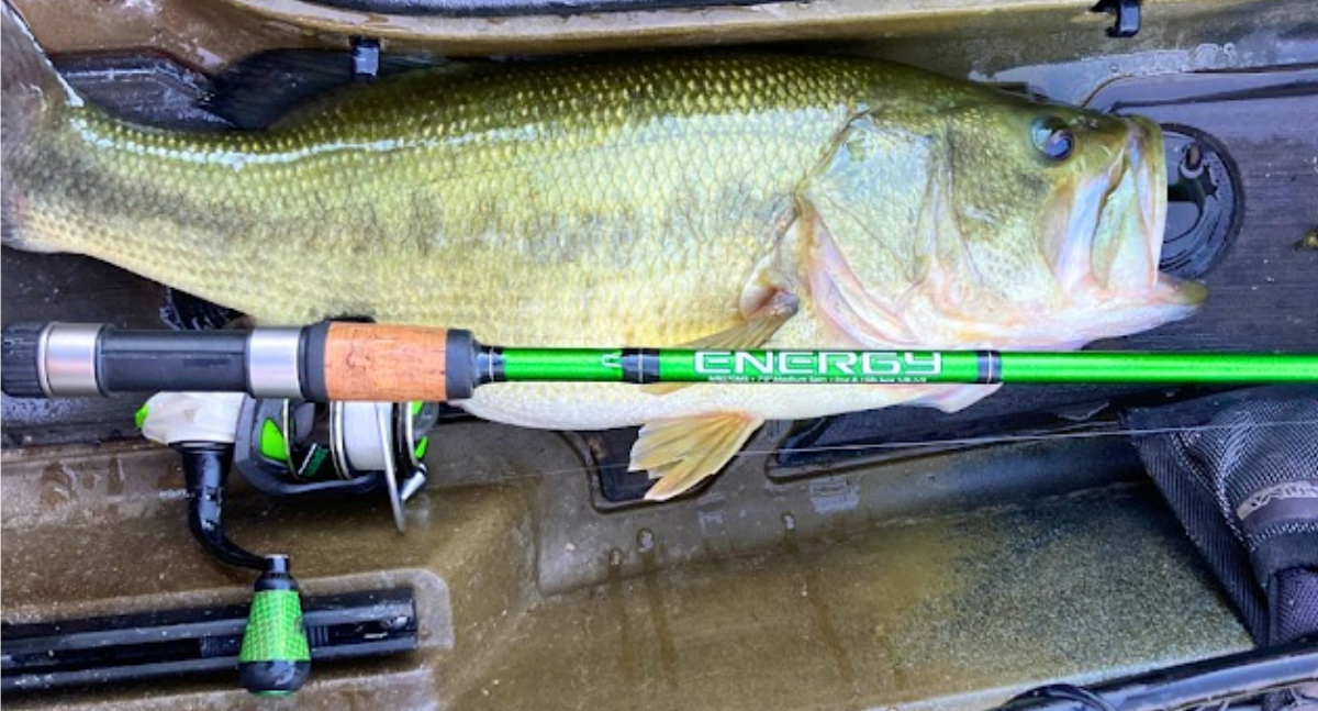 The Versatility of Spinning Rods in Bass Fishing. - Impulse Rods