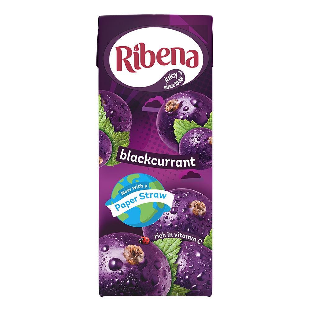 Ribena Blackcurrant 24 x 250ml Carton - LWC eCatalog