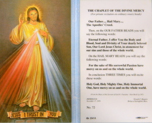 Chaplet of Divine Mercy Laminated Holy Card - Our Daily Bread Catholic ...