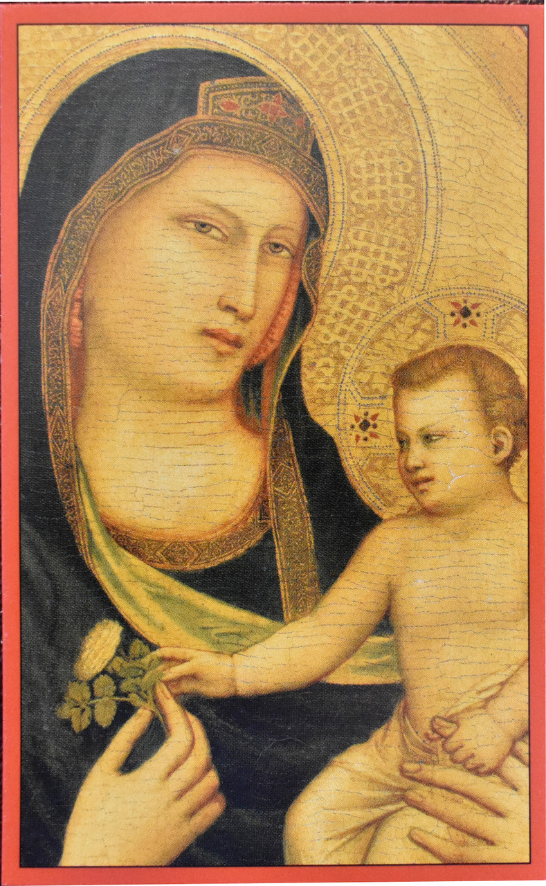 A Prayer for Life Prayer Card - Our Daily Bread Catholic Gifts