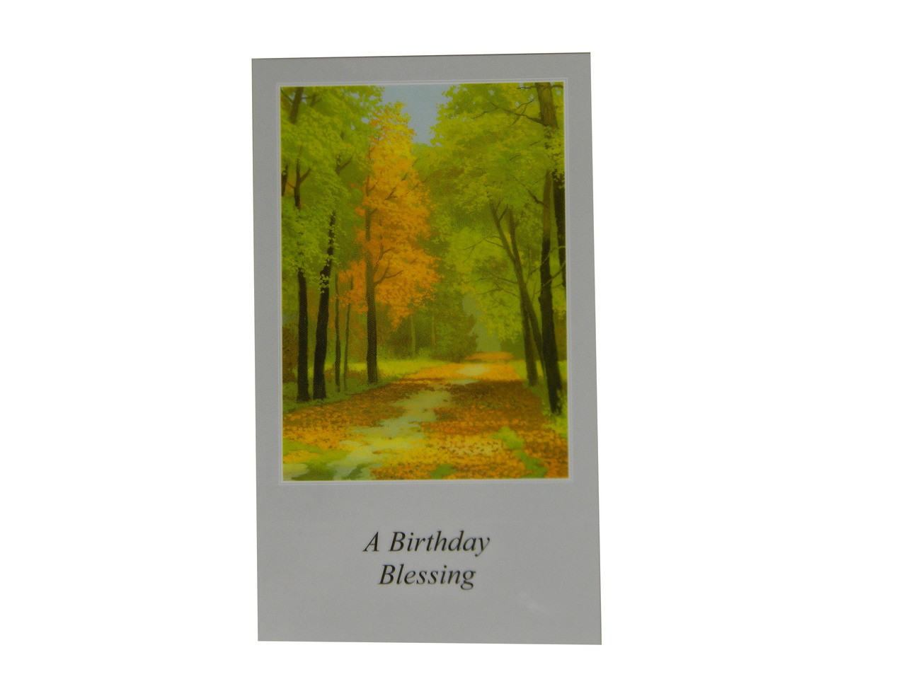 Birthday Blessing Laminated Holy Card - Our Daily Bread Catholic Gifts