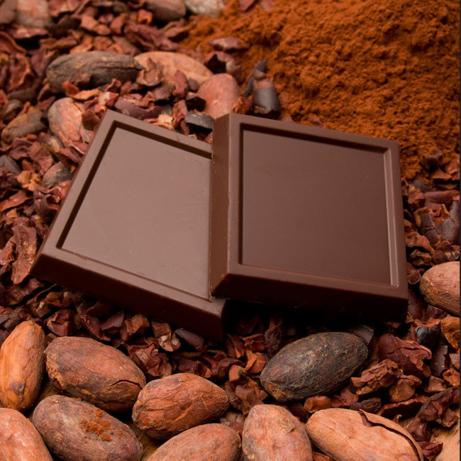 Cacao Bella™ – Functional Chocolate - Skin Health & Wellness in Every ...