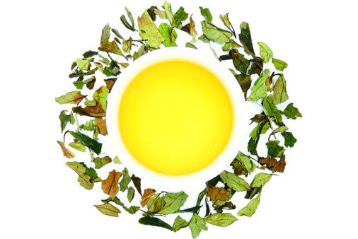 Loose-Leaf White Tea | Premium White Tea Blends Online