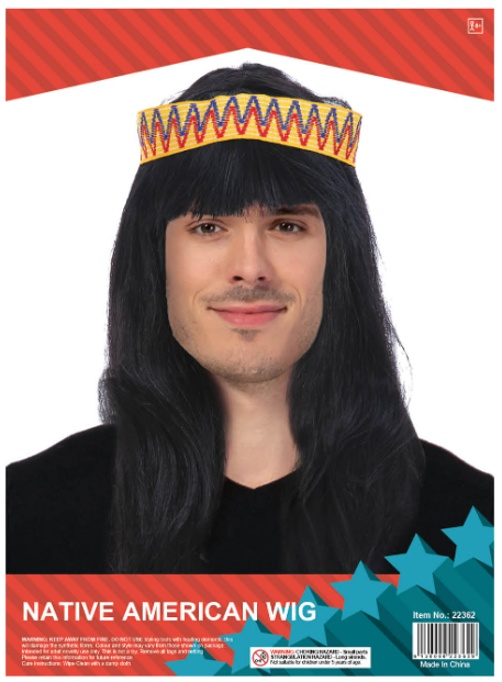 Native American Wig - Discount Party World