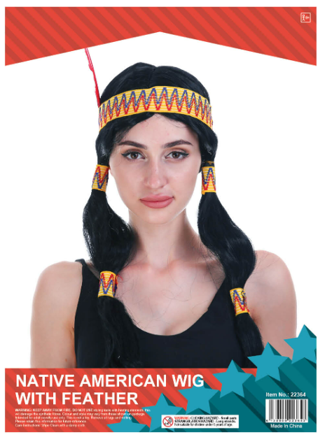 Native American Wig with feather - Discount Party World