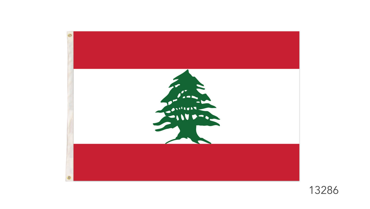 Lebanon Flag (90x 150cm) - Discount Party World