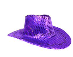 Deluxe Sequin Cowboy Hat (Purple) - Discount Party World