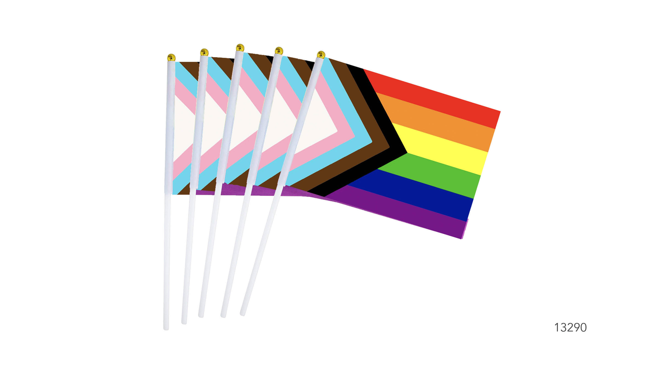 Rainbow Progress Pride Flag (8pcs) - Discount Party World