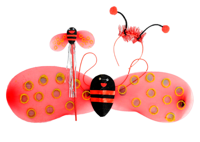 Lady Bug Wing 3pcs Set - Discount Party World