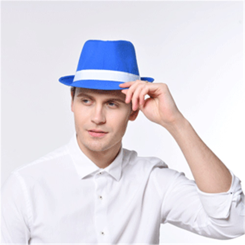 *FEDORA-BLUE - Discount Party World