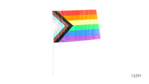 Rainbow Progress Pride Hand Flag (30cm x 40cm) - Discount Party World