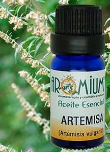 Aceite esencial Artemisa - Comprar online - Aromium