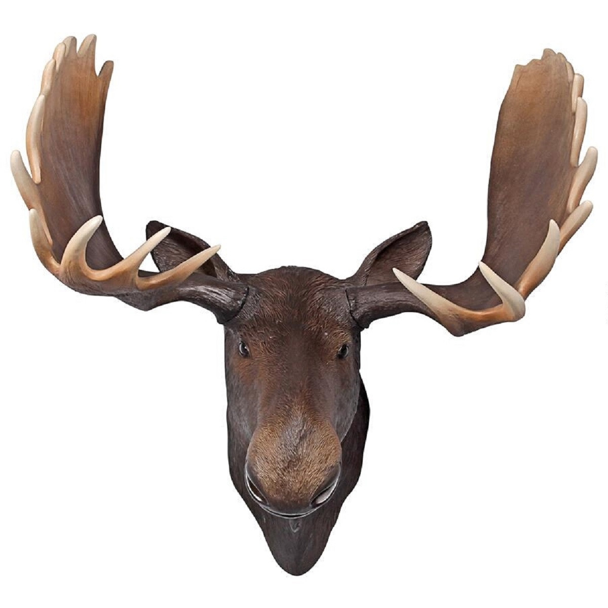 41" Wall Hanging North American Moose Trophy Head | Pool Central