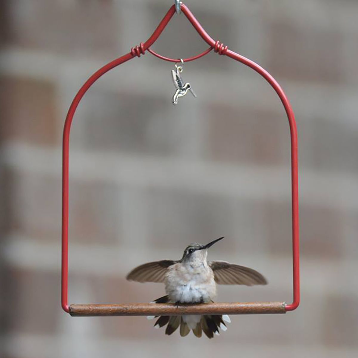 7" Red Charmed Hummingbird Swing | Pool Central
