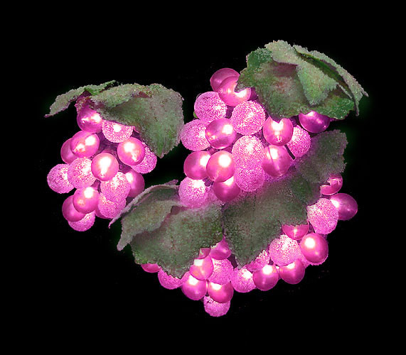 Set of 100 Indoor/Outdoor Purple Grape Cluster Christmas Lights | Pool ...