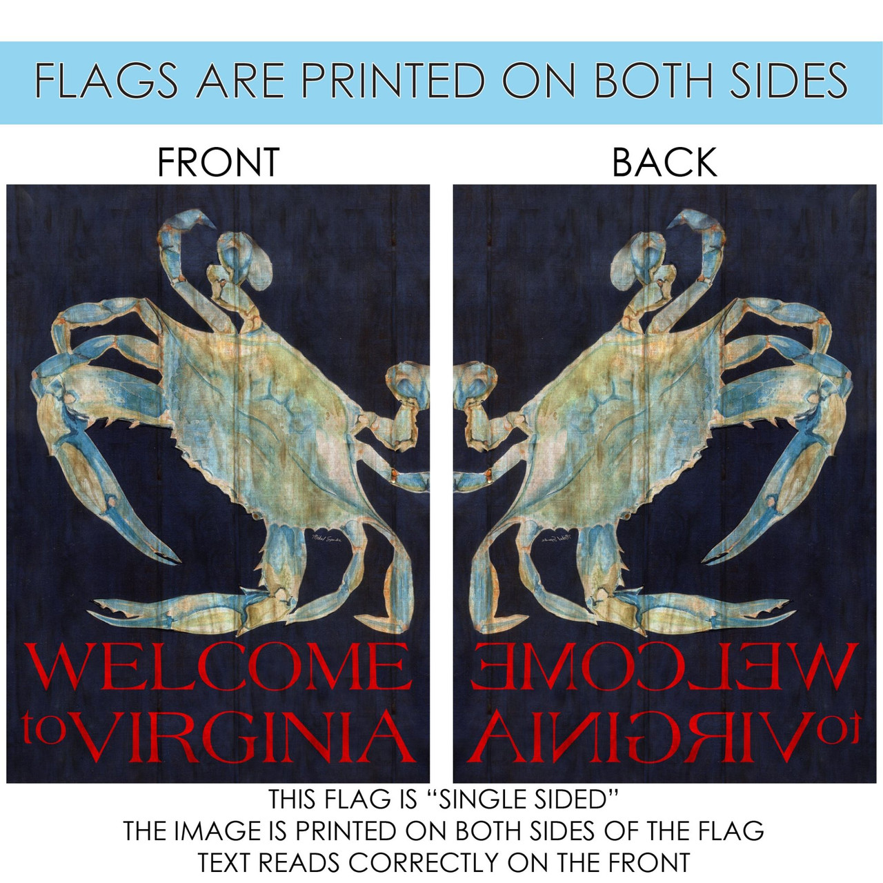 Blue & Red Welcome to Virginia Outdoor House Flag 40" x 28" | Pool Central