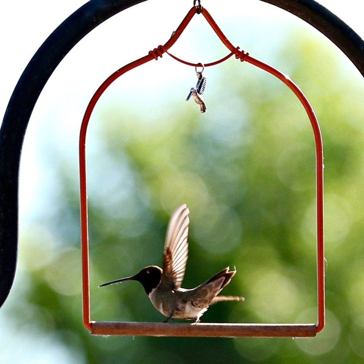 7" Red Charmed Hummingbird Swing | Pool Central