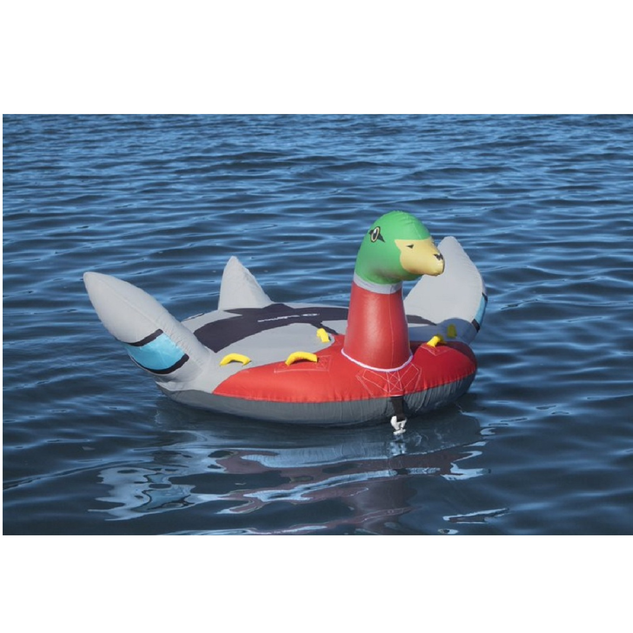 86" Inflatable Jumbo Mallard Duck Ride On Towable Float | Pool Central