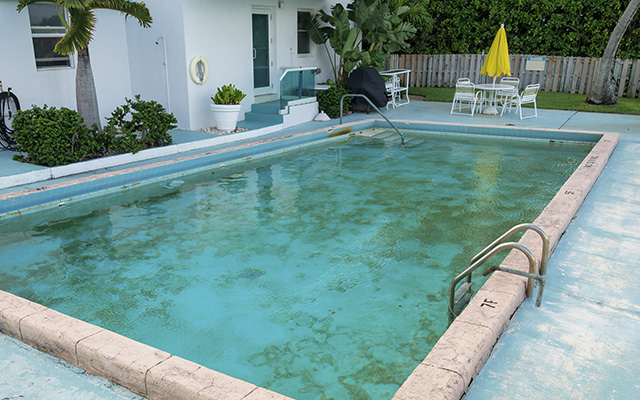 Why is My Pool Green? The Best Way to Get Rid of Algae in Your Pool ...