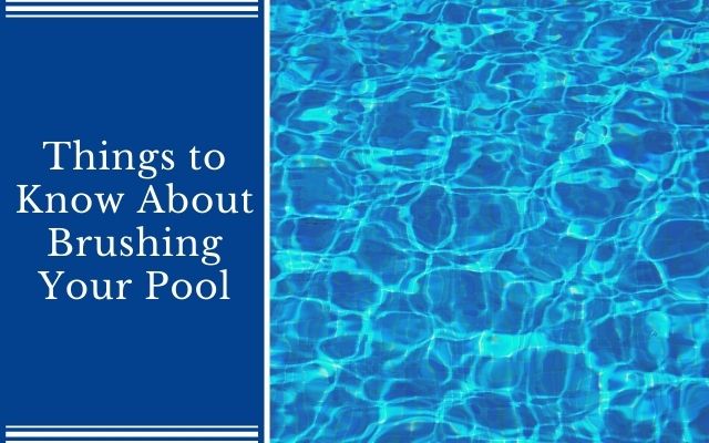 Things to Know About Brushing Your Pool - Pool Central
