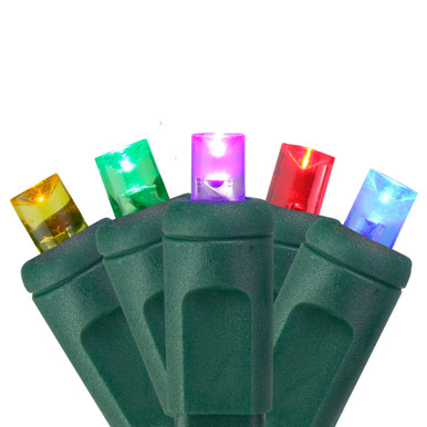 4' x 6' Multi-Color LED Net Style Christmas Lights - Green Wire | Pool ...