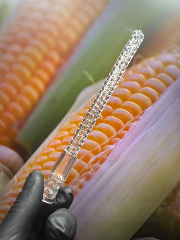 Corn Rig & Slurp - Small Werld Glass