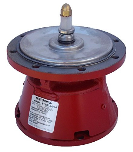 816032MF-000 Maintenance - Armstrong Fluid Technology | HED