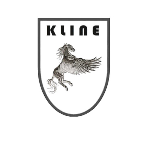 Enhance Your Porsche Cayman with Kline Innovation Valvetronic System ...