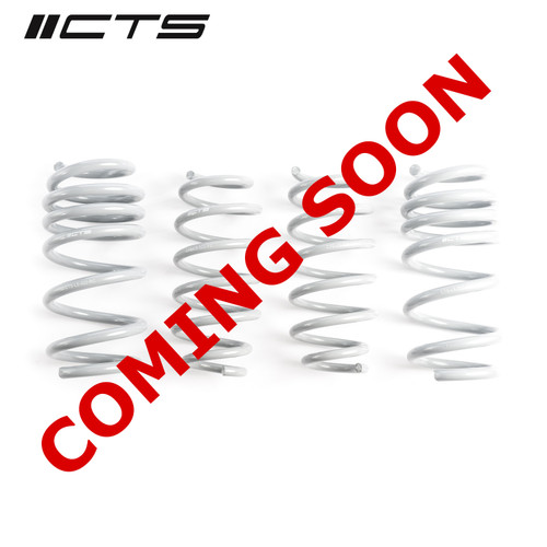 CTS Turbo Lowering Springs for Tesla Model Y Long Range (2020-2022 ...