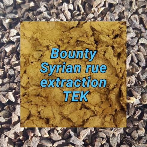how to extract harmalas for syrian rue seeds - bounty botanicals plus
