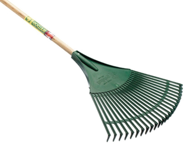 Green Plastic Lawn Rake - Rakin' In The Money