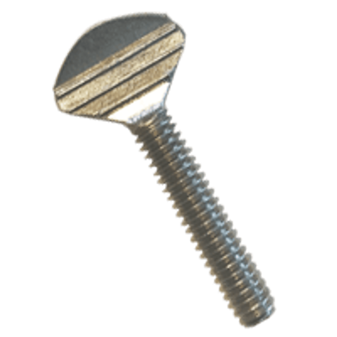 5-16-18x1-1-2-stainless-steel-18-8-regular-thumb-screws-type-b