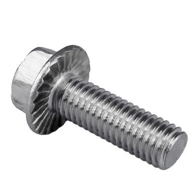 M6-1.0 x 25 mm Hex Flange Bolt, Serrated, DIN 6921, 18-8 Stainless ...