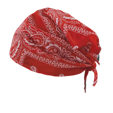 Bullhead Safety - Red Paisley Cooling Head Shade- Pack of 10, #GLO-S4 ...