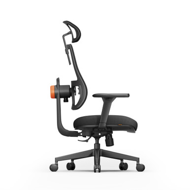 Humanspine Adaptive Office Chair, Lumbar Support, Adjustable Headrest ...