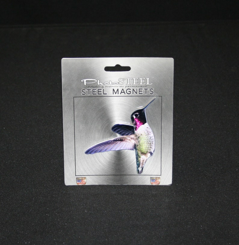 Hummingbird Male - Steel Magnet