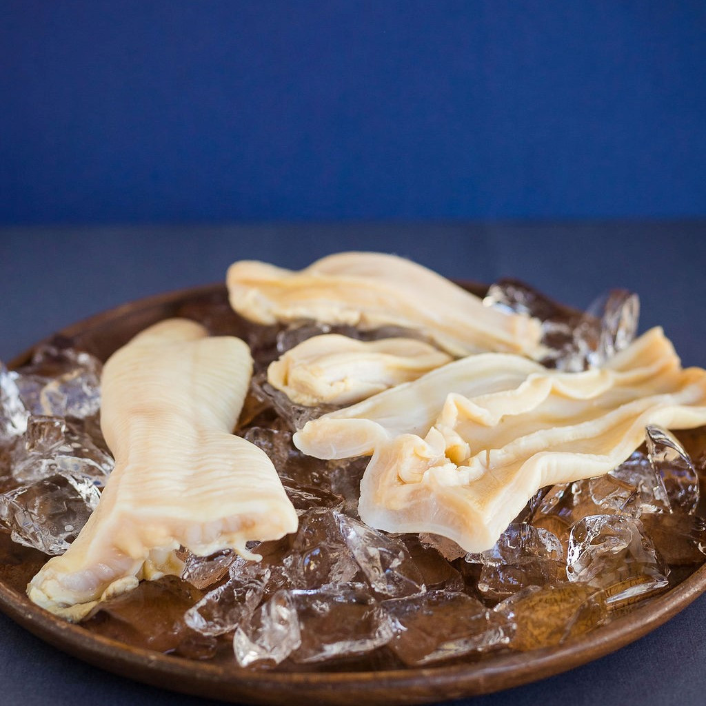 Frozen Geoduck | Taylor Shellfish Farms