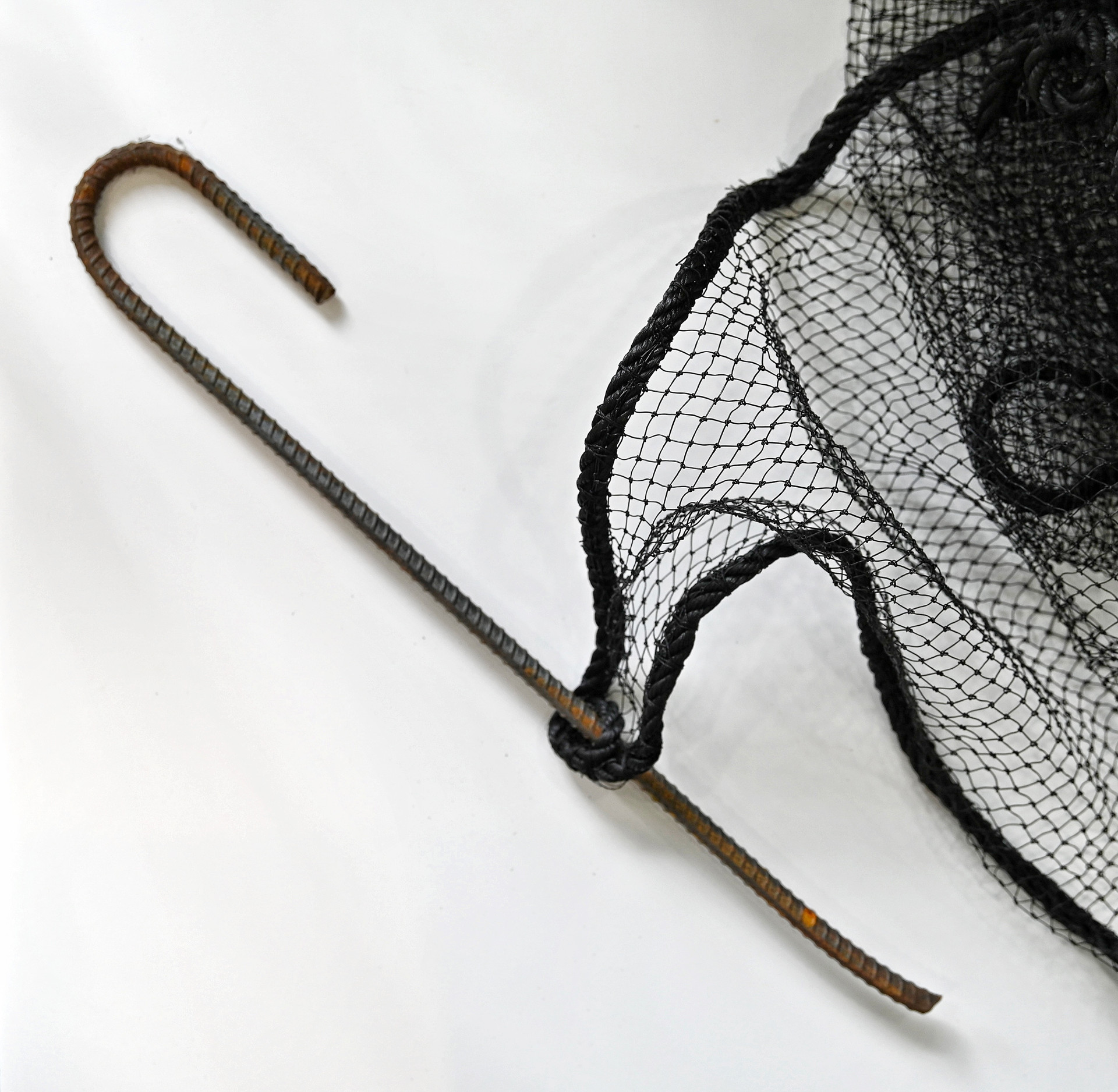 Seed & Gear | Taylor Shellfish Farms
