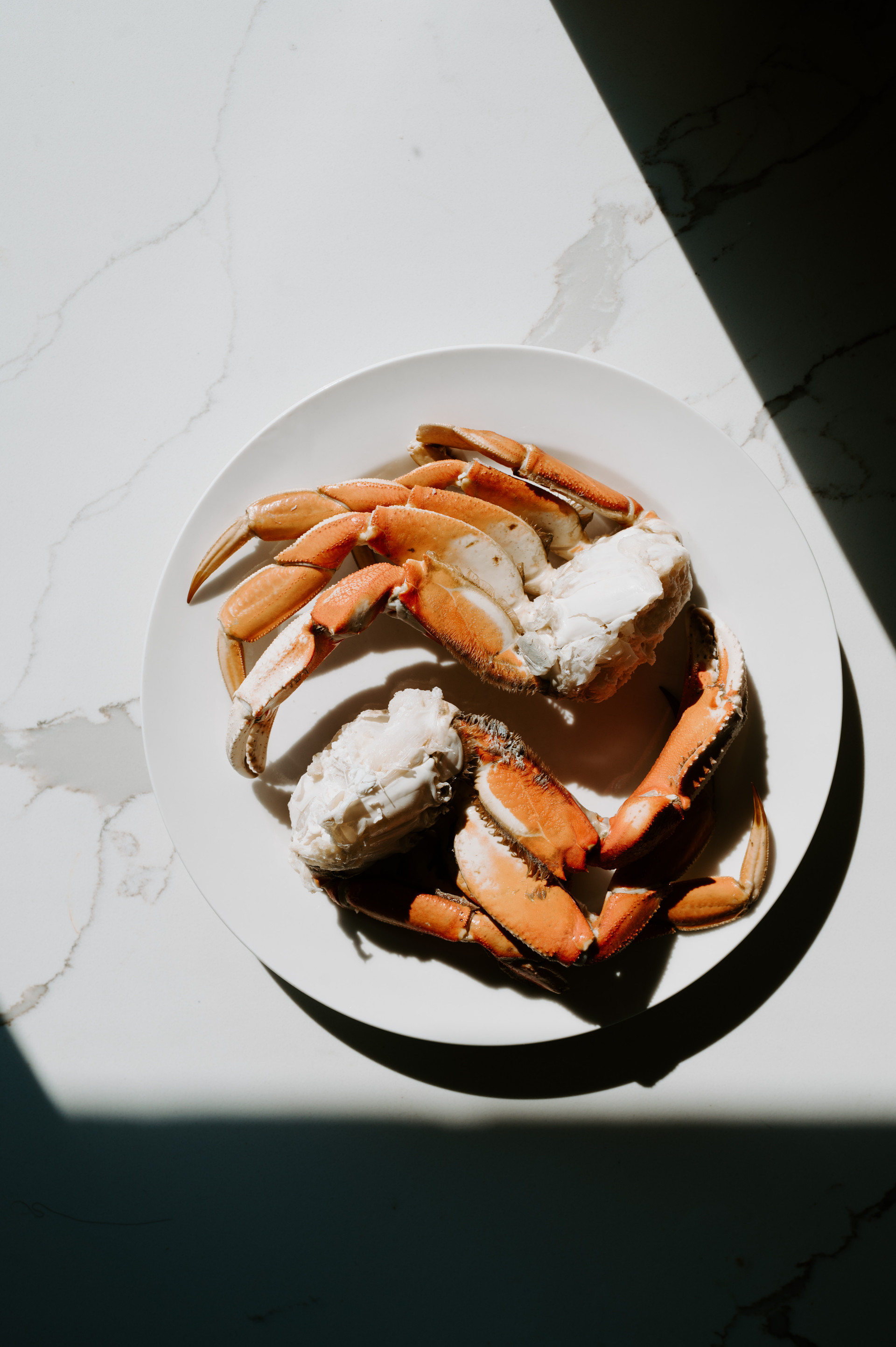 Taylor Shellfish