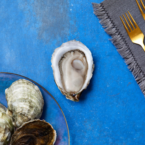 Totten Inlet Virginica Oysters | Taylor Shellfish Farms