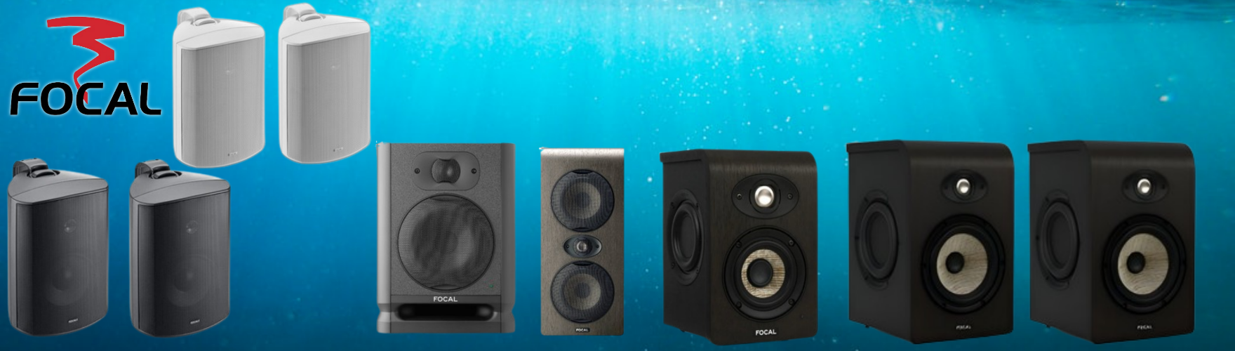 Discovering Focal : Unleashing Audio Excellence - Zorro Sounds