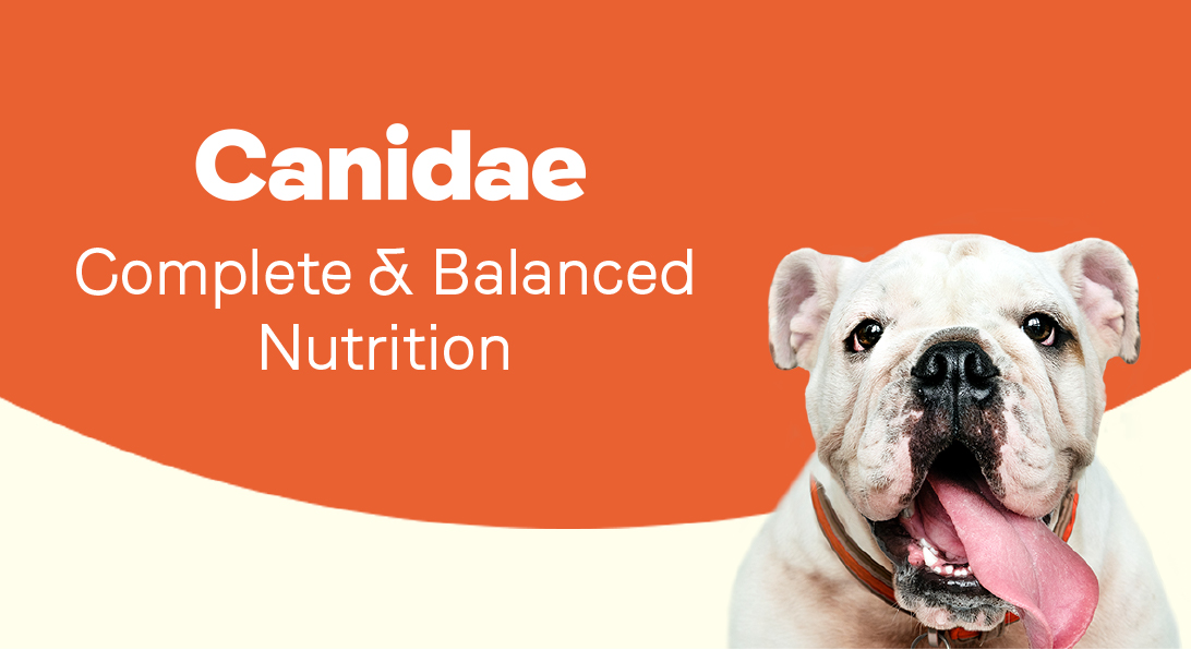 Why Canidae?