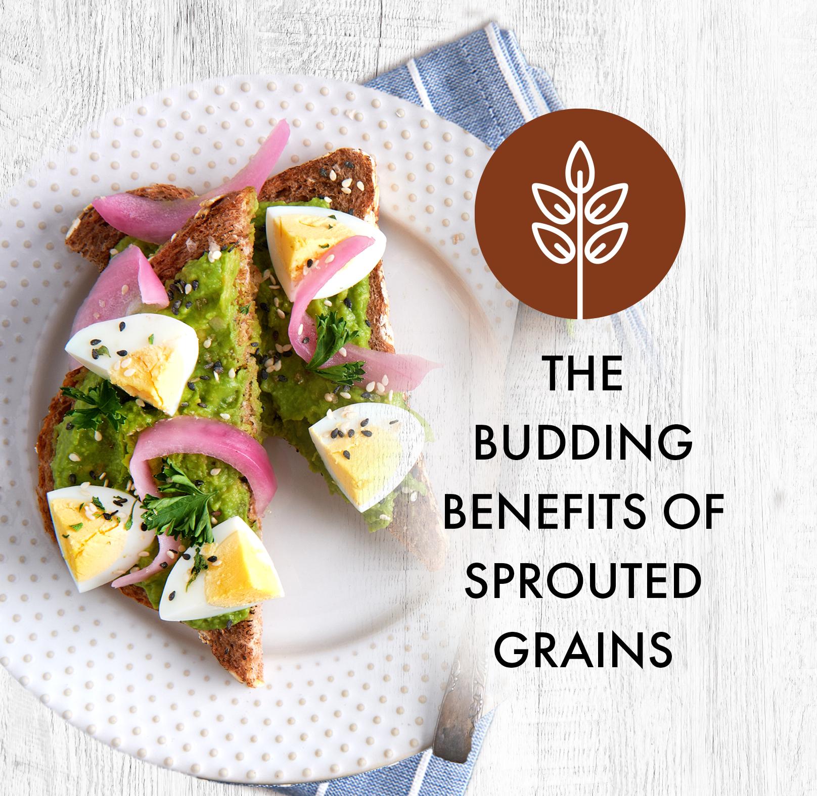 The Budding Benefits of Sprouted Grains - Seattle Sutton's Healthy Eating