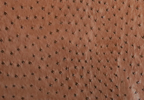 Ostrich – Kango Tabac – Matte | Roje Exotic Leather