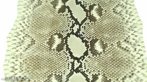 Reticulated – F.C – U.B – Glazed | Roje Exotic Leather