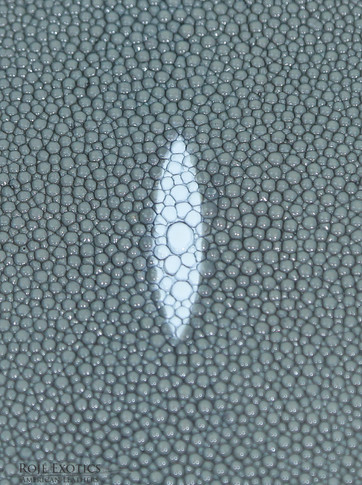 Stingray – S. Grey – Caviar | Roje Exotic Leather