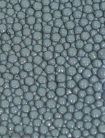 Stingray – S. Grey – Caviar | Roje Exotic Leather