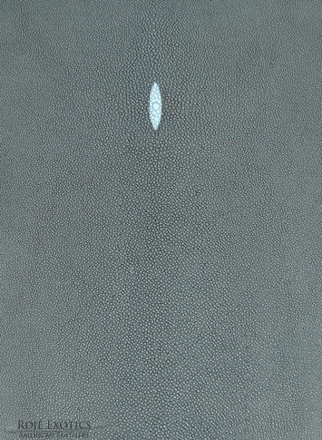 Stingray – S. Grey – Caviar | Roje Exotic Leather