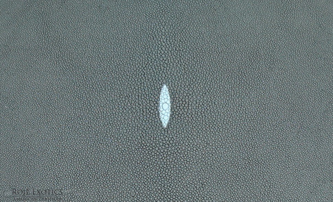Stingray – S. Grey – Caviar | Roje Exotic Leather
