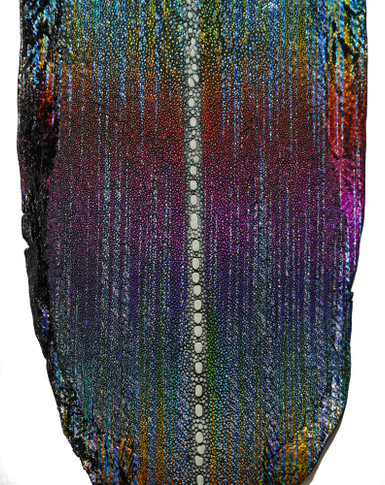 Stingray – Rainbow Hologram – Row Stone | Roje Exotic Leather